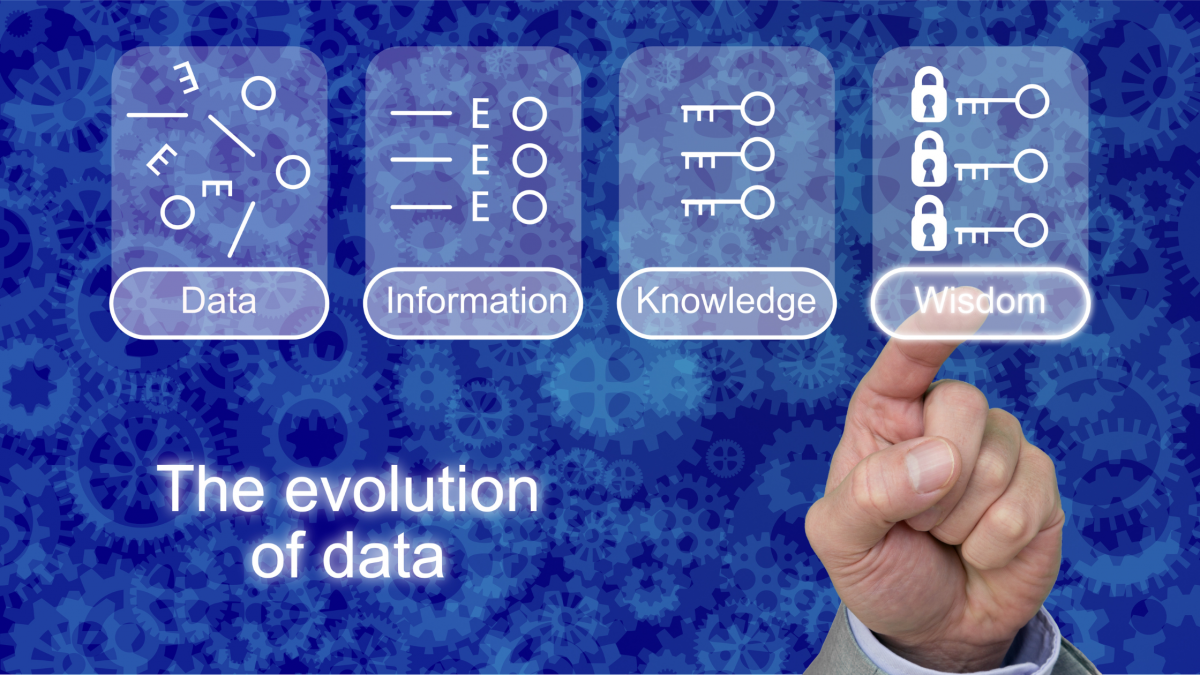 The Evolution of Software as an Asset: Past, Present, and Future ...